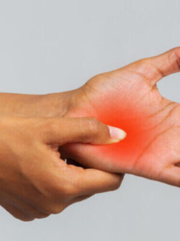 Zucchini Poisoning: What It Is and How Can This Superfood Turn Harmful?