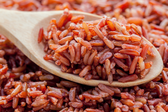 India Boosts Pharma & MedTech R&D with ₹5,000 Cr PRIP Scheme